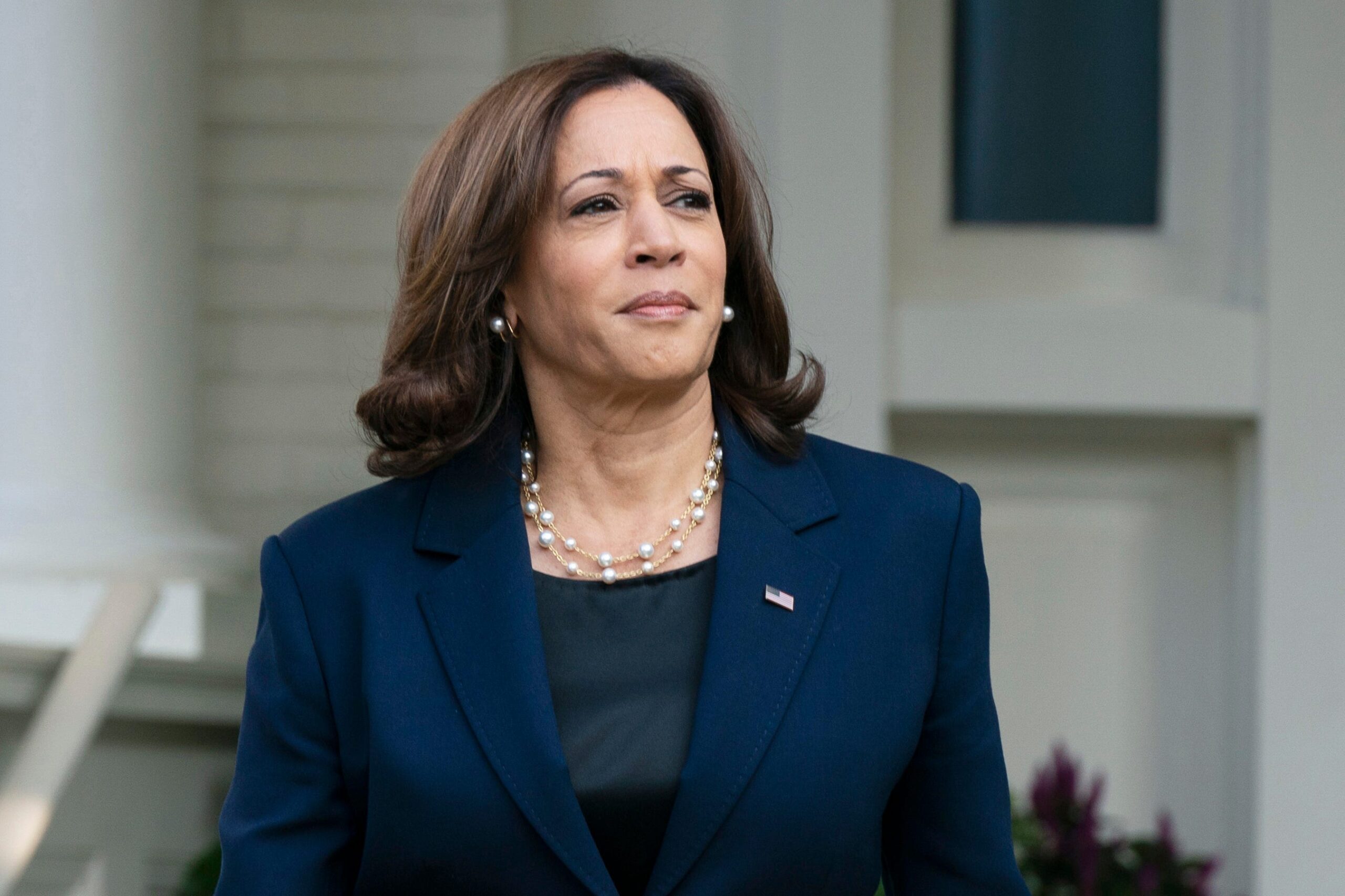 Here Are VP Harris' New Plans To Support POC-Led Small Businesses ...