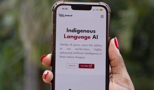 This Startup's AI Supports 11 African Languages And Counting
